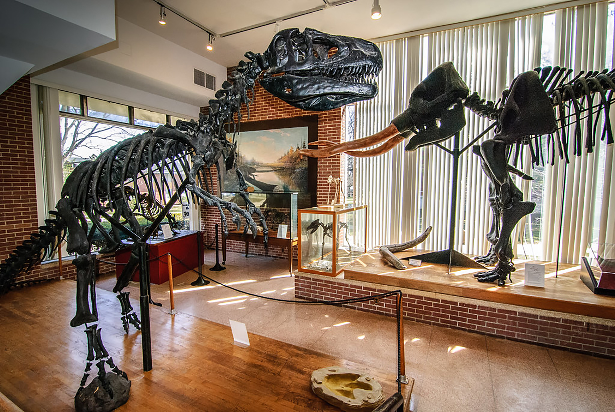 Collections & Research : Joseph Moore Museum