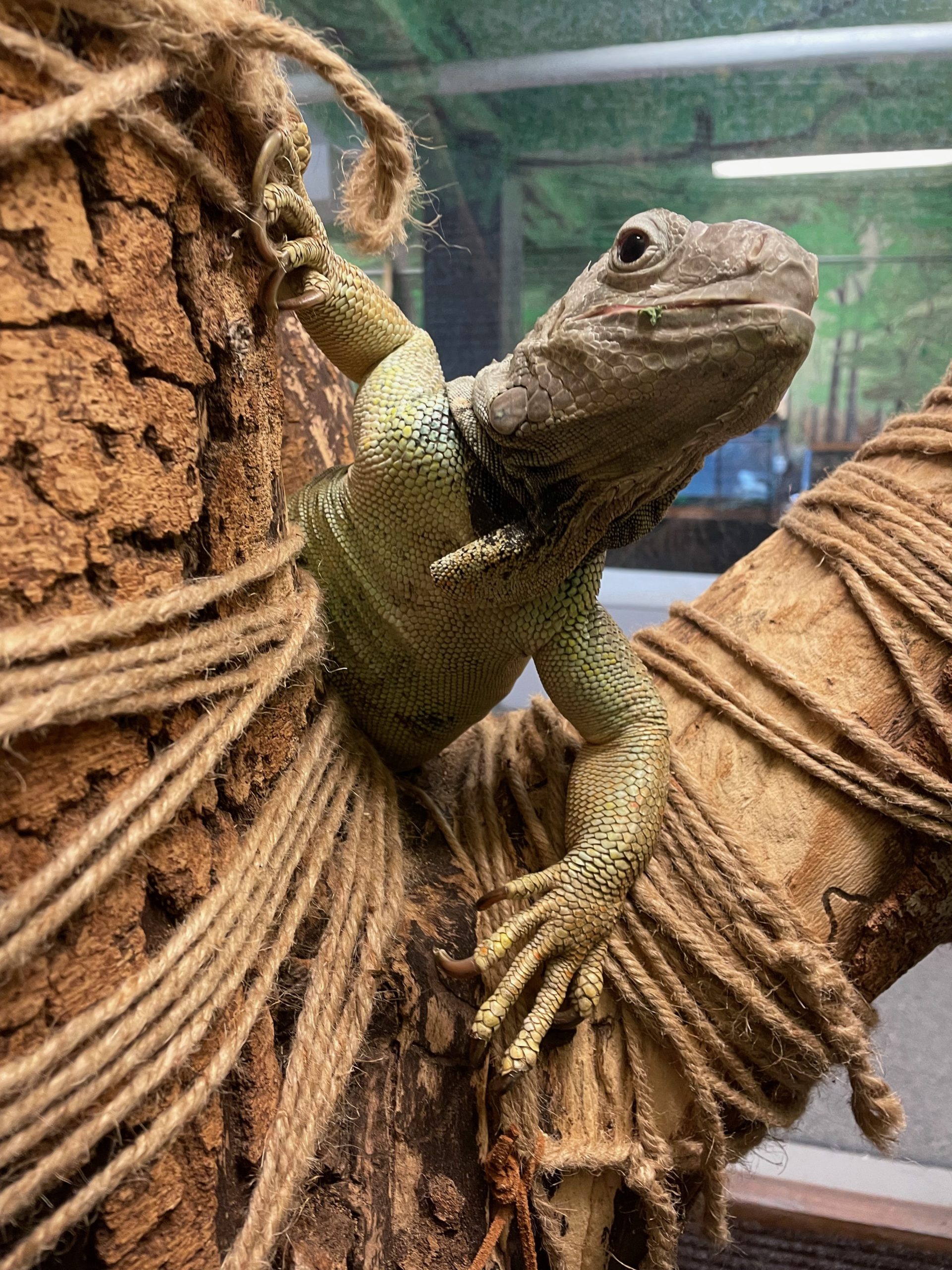 About : Joseph Moore Museum