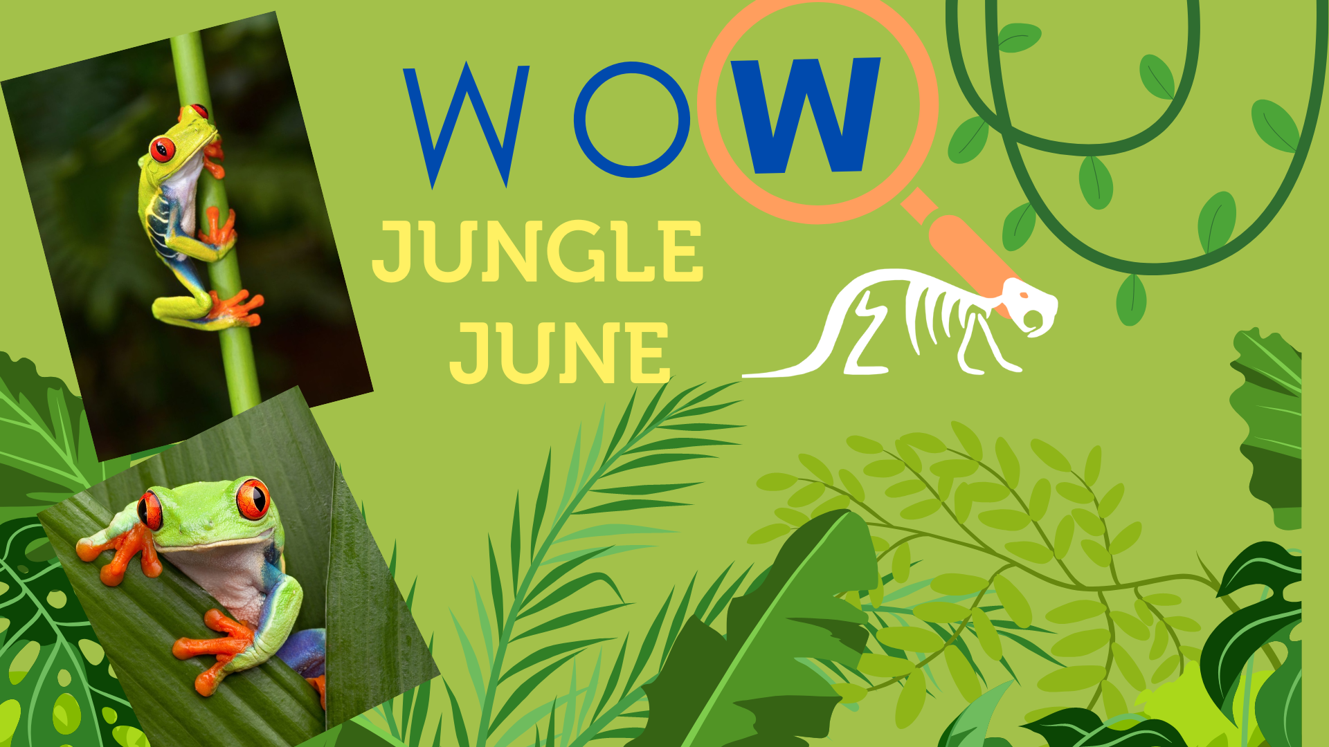 Programs : Joseph Moore Museum